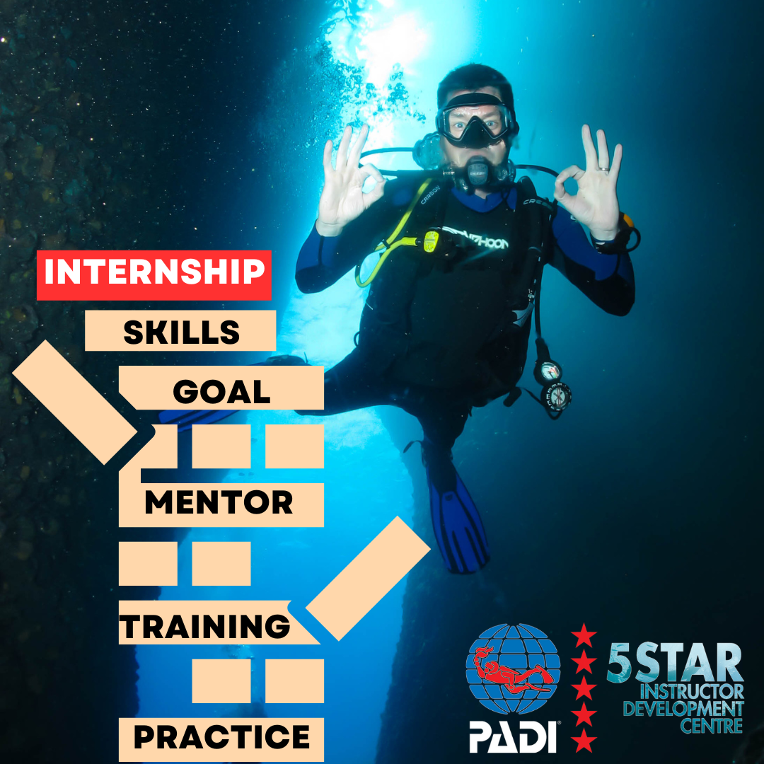 Divemaster Internship Αθήνα - Seahorse Dive Center
