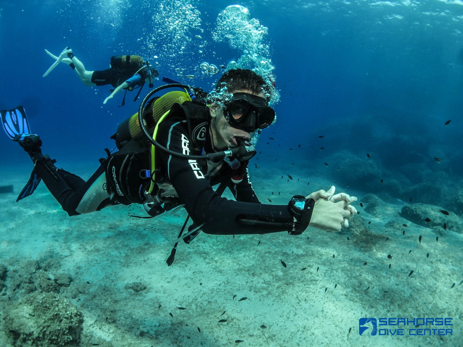 PADI Open Water Diver Seahorsedive PADI Open Water Diver Seahorsedive